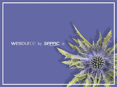 wesource by Seppic unveils its active ingredient of the year 2021